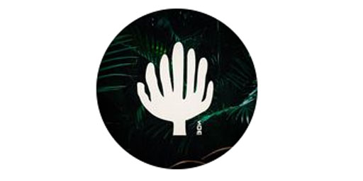 Brave Bar Program | Women Helping Women